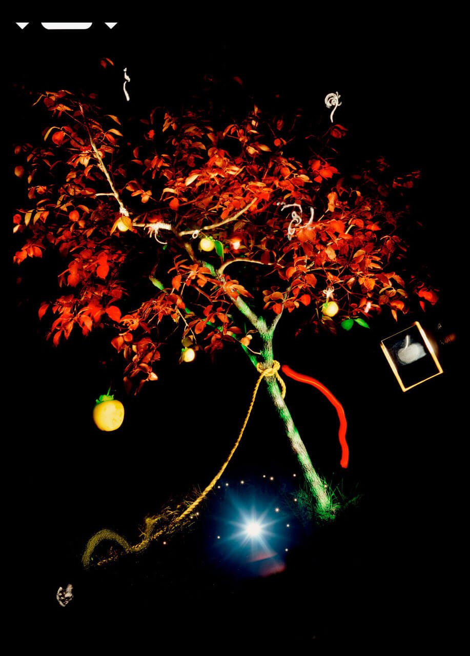 COLORS COLLECTION – Air of Art Museum