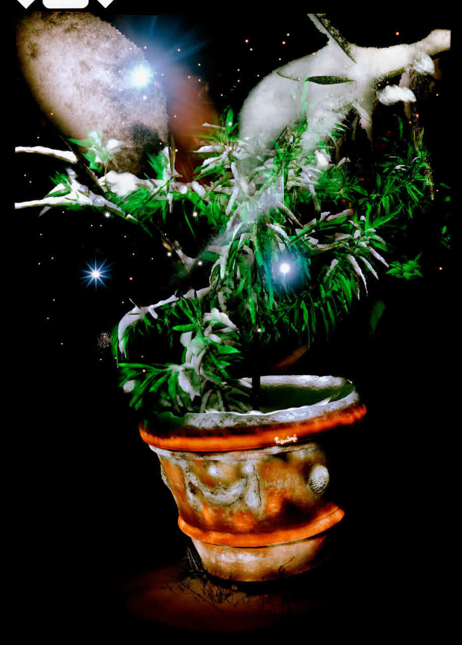 COLORS COLLECTION – Air of Art Museum